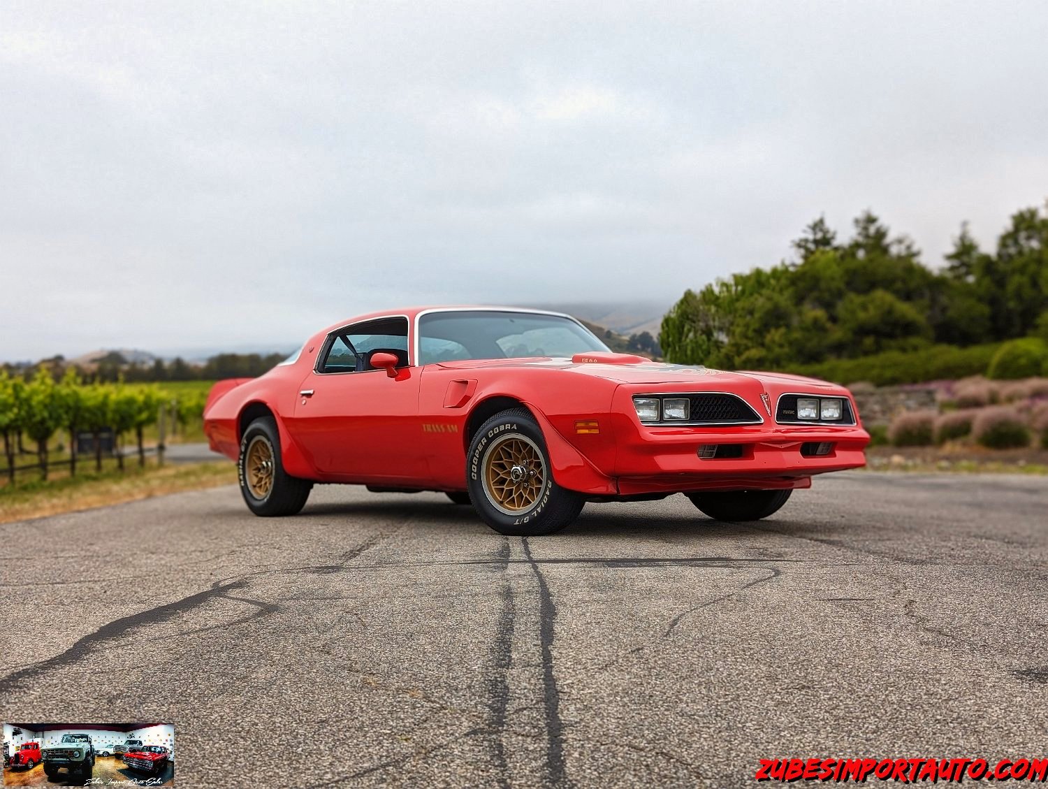 1978 Pontiac Trans Am Firebird 6.6L V8 400 Ci 4-Speed Manual WS6 W7208 | Zubes Import Autos, Inc.