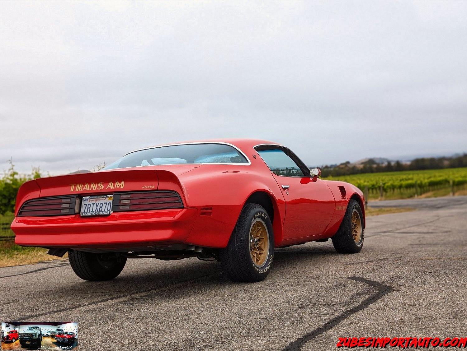 1978 Pontiac Trans Am Firebird 6.6L V8 400 Ci 4-Speed Manual WS6 W7208 | Zubes Import Autos, Inc.