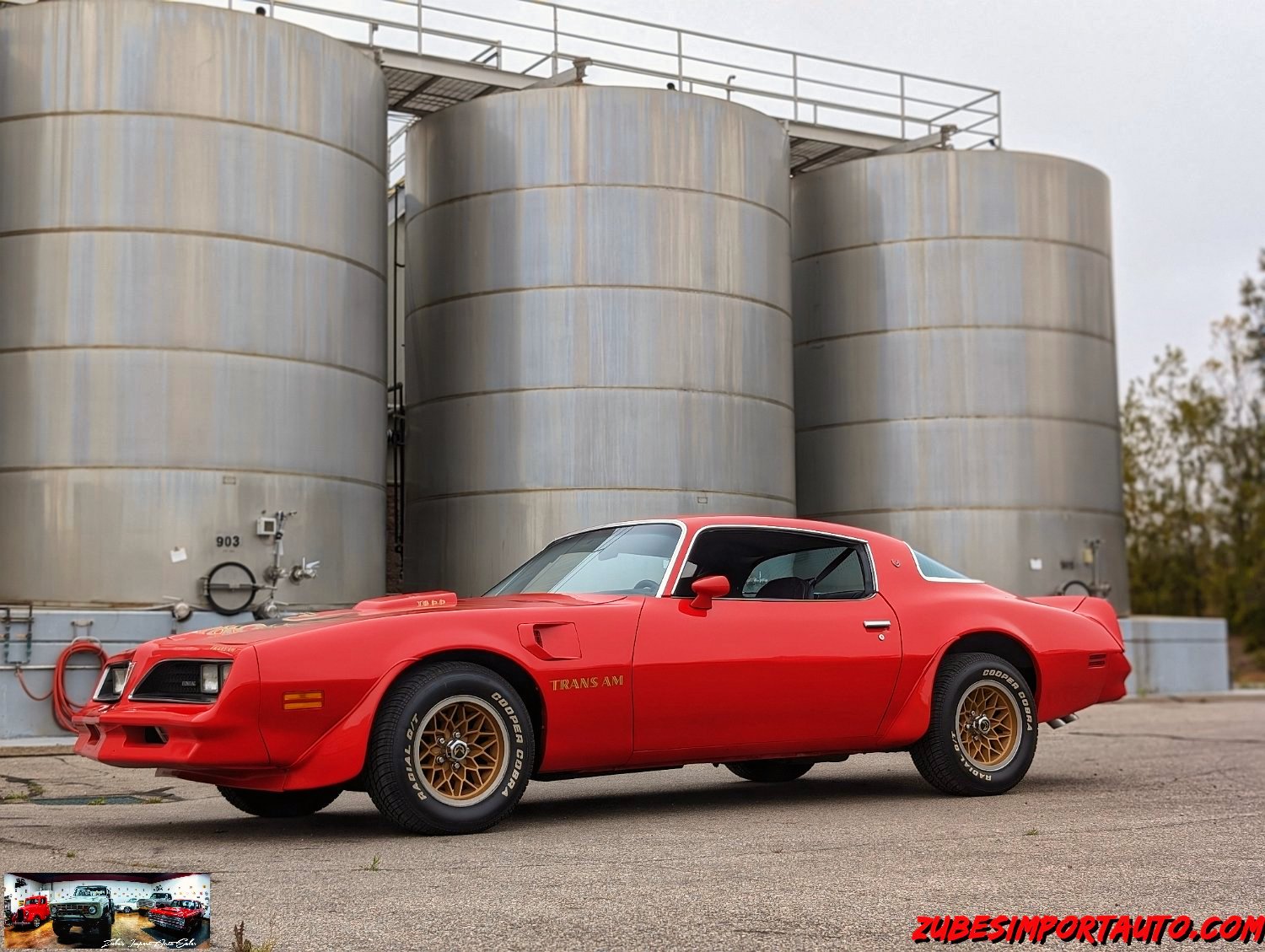 1978 Pontiac Trans Am Firebird 6.6L V8 400 Ci 4-Speed Manual WS6 W7208 | Zubes Import Autos, Inc.