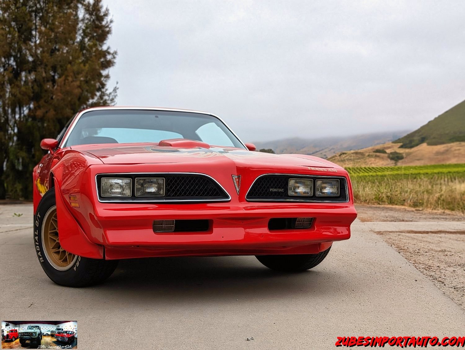 1978 Pontiac Trans Am Firebird 6.6L V8 400 Ci 4-Speed Manual WS6 W7208 | Zubes Import Autos, Inc.