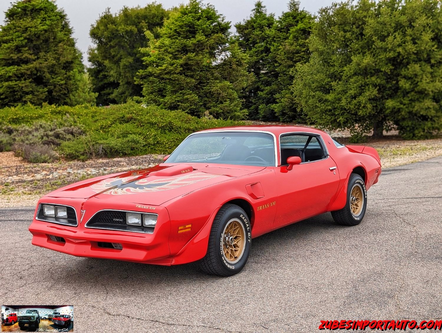 1978 Pontiac Trans Am Firebird 6.6L V8 400 Ci 4-Speed Manual WS6 W7208 | Zubes Import Autos, Inc.