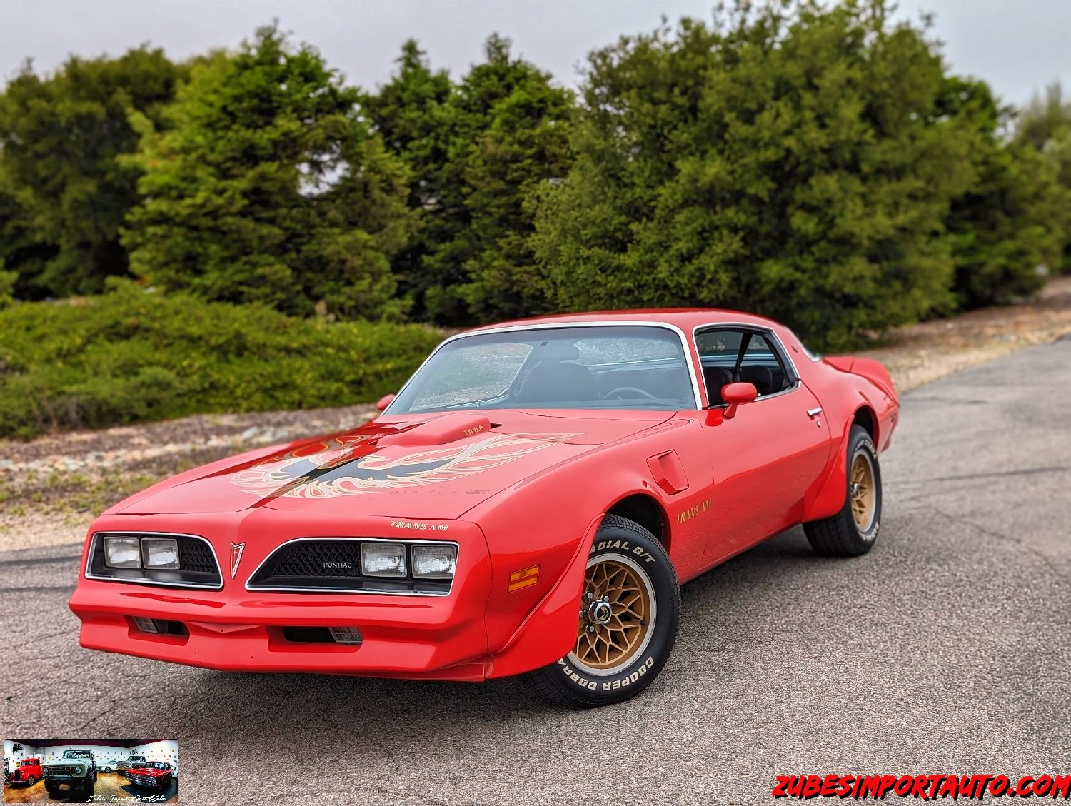 1978 Pontiac Trans Am Firebird 6.6L V8 400 Ci 4-Speed Manual WS6 W7208 | Zubes Import Autos, Inc.