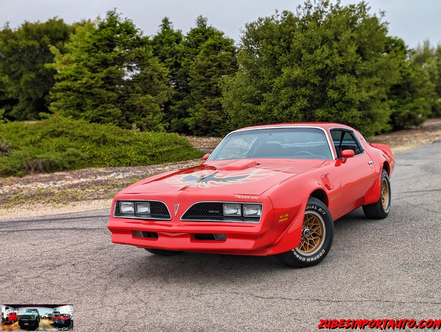 1978 Pontiac Trans Am Firebird 6.6L V8 400 Ci 4-Speed Manual WS6 W7208 ...